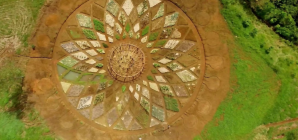 Mandalas: desde usos decorativos hasta diseño de jardines y huertas ...