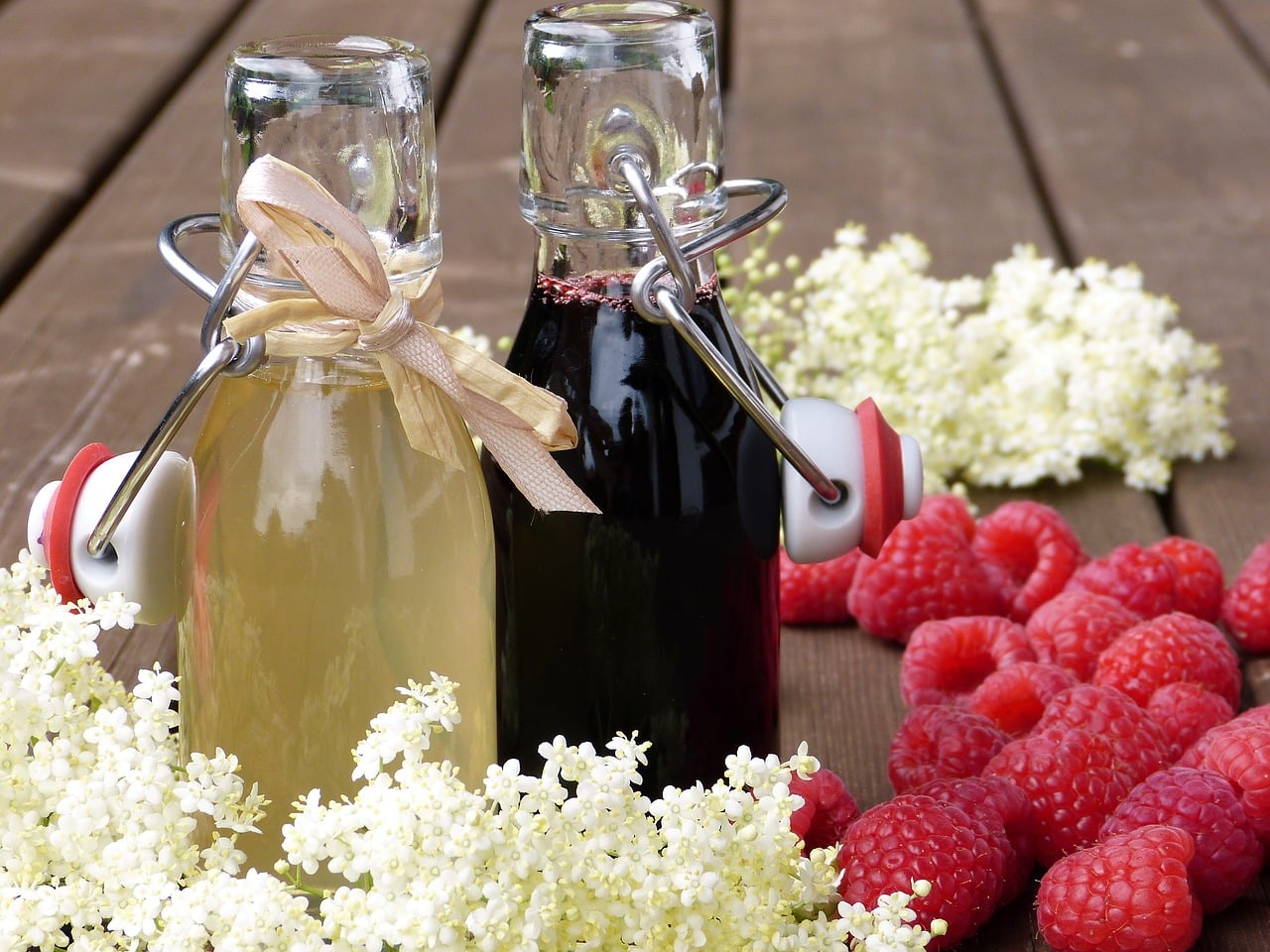Propiedades y Beneficios de la Flor de Saúco » El Horticultor