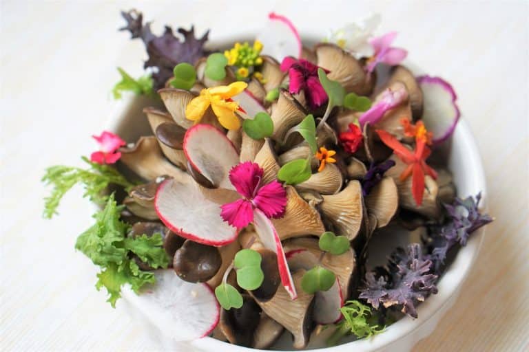 20 Flores comestibles y nutritivas que enriquecerán tu próxima receta ...